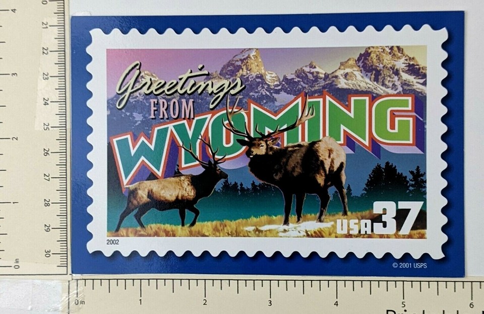2001 Wyoming WY Greetings Large Letter Modern USPS Stamp Postcard Moose ...