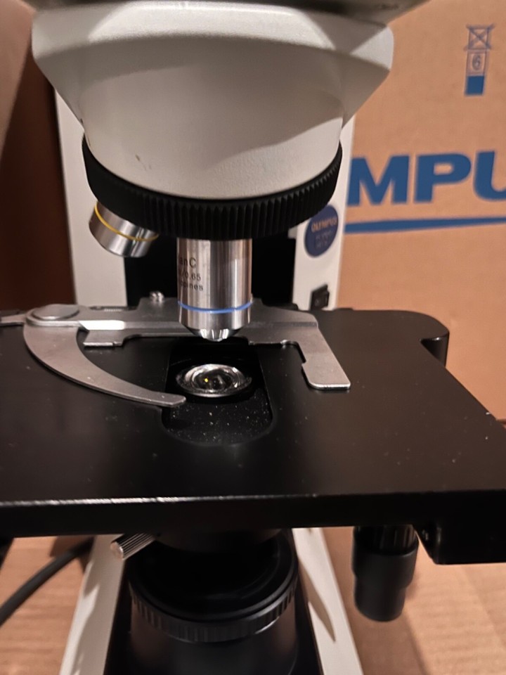 Pre-Owned OLYMPUS CX31 Olympus CX31RBSF Microscope with 3 Plan C Lenses ...