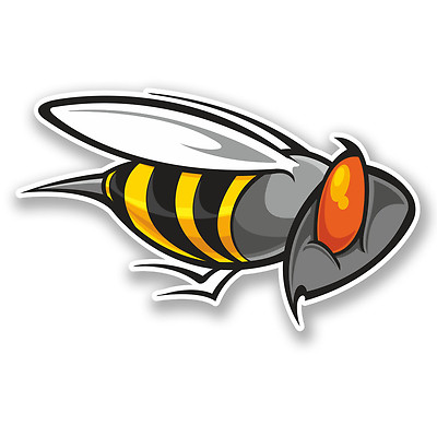 2 x 10cm Angry Wasp Bee Vinyl Decal Stickers Cool Funny Laptop Decal ...