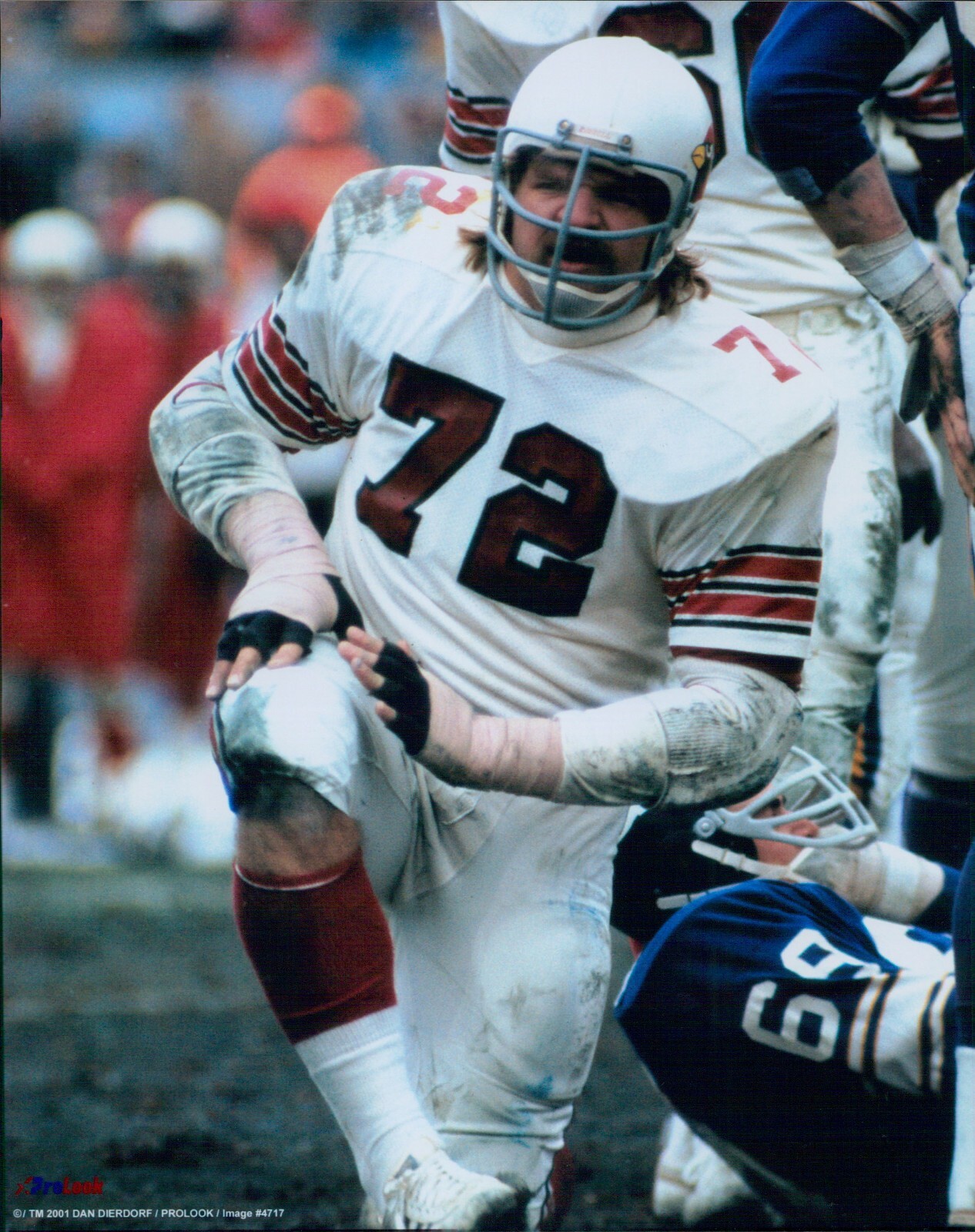 Dan Dierdorf St. Louis Cardinals NFL Football Unsigned Glossy 8x10 ...