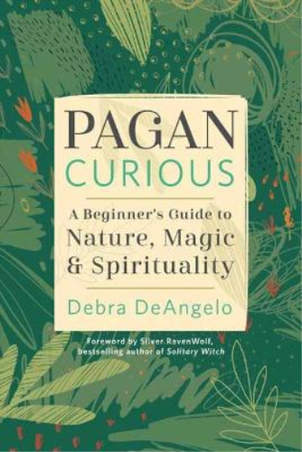 Debra DeAngelo Pagan Curious (Poche) 9780738766539 | eBay