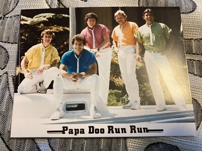 PAPA DOO RUN RUN Original Promotional Color Photograph Beach Boys | eBay