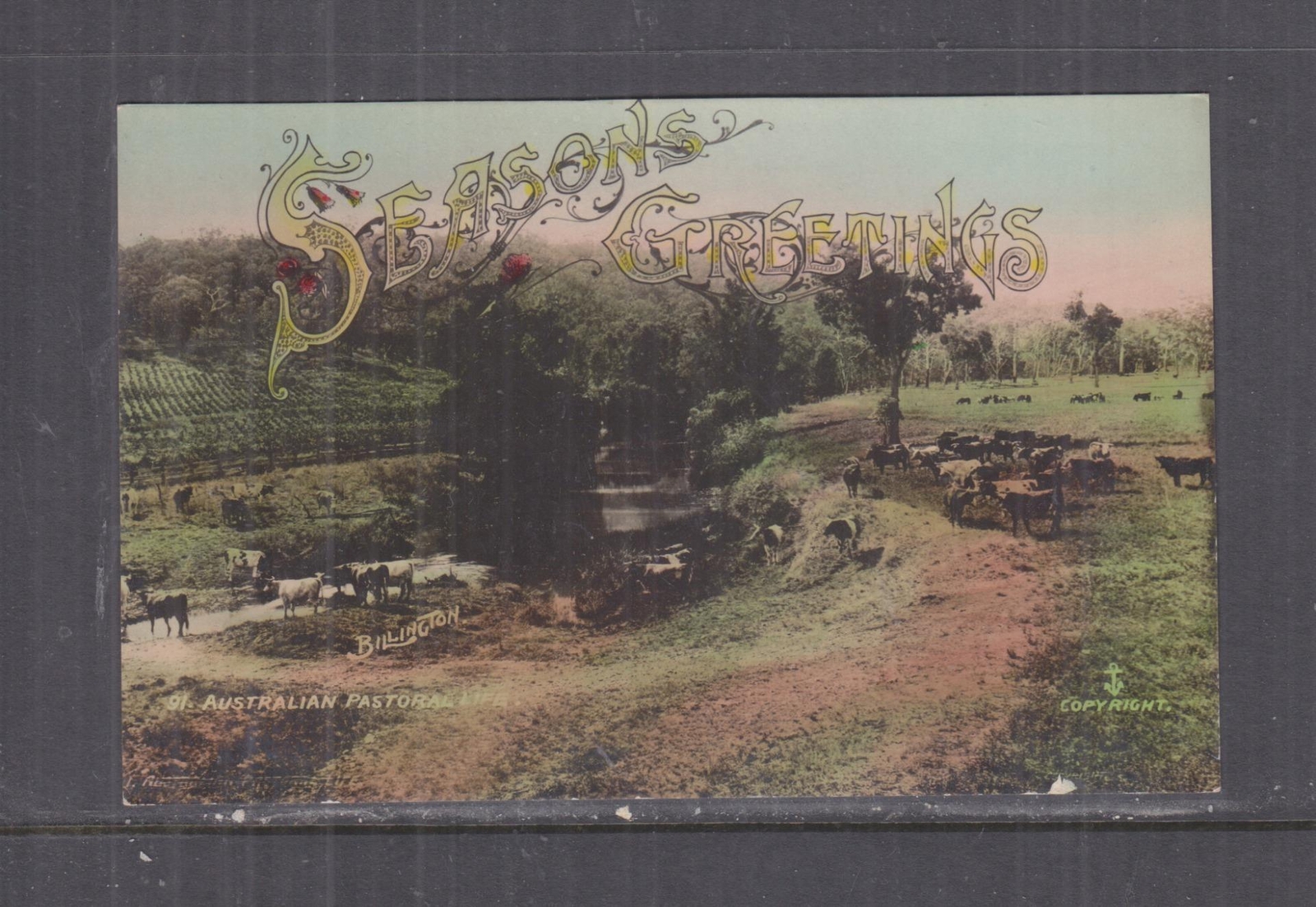 AUSTRALIA, PASTORAL LIFE, c1910 Joe Gardiner Lively Bootman, Sydney ...