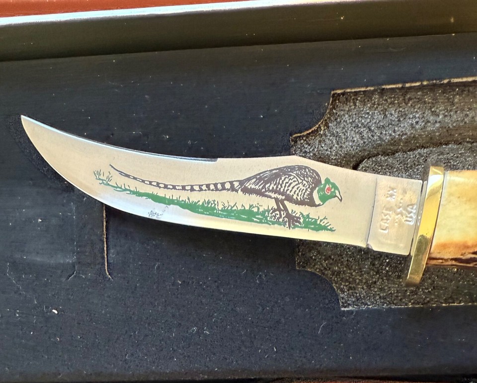 BEAUTIFUL VINTAGE CASE SMALL GAME STAG KNIFE NEVER USED IN BOX N28 | eBay