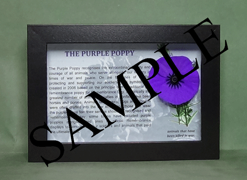 The Purple Poppy - Framed | eBay Australia