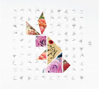 XXL Dude (CD) Album | eBay