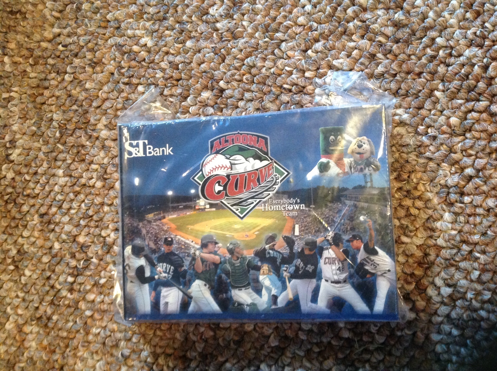 ALTOONA CURVE AUTOGRAPH BOOK PITTSBURGH PIRATES | eBay