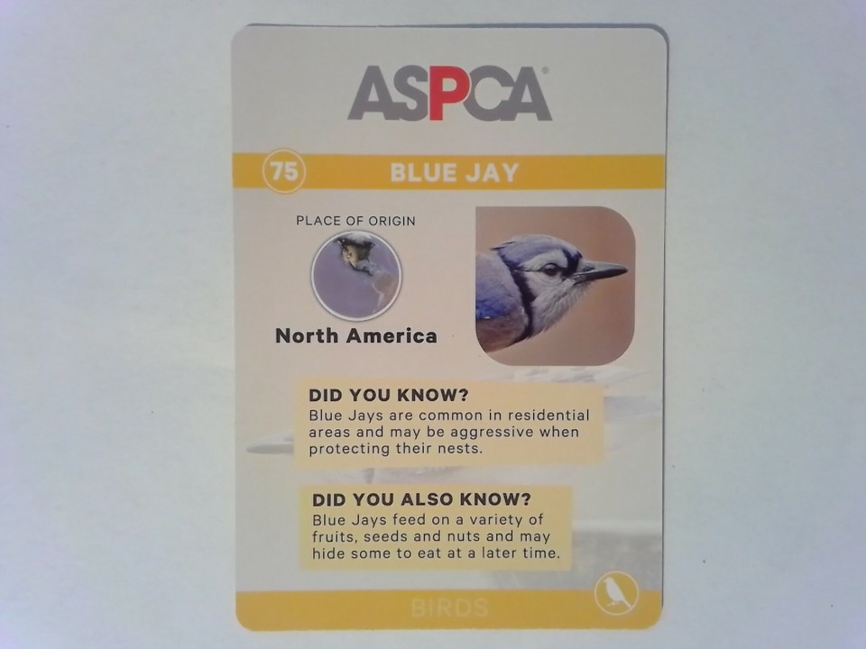 Blue Jay Bird #75 2016 ASPCA Pets & Creatures Trading Cards LB5 | eBay