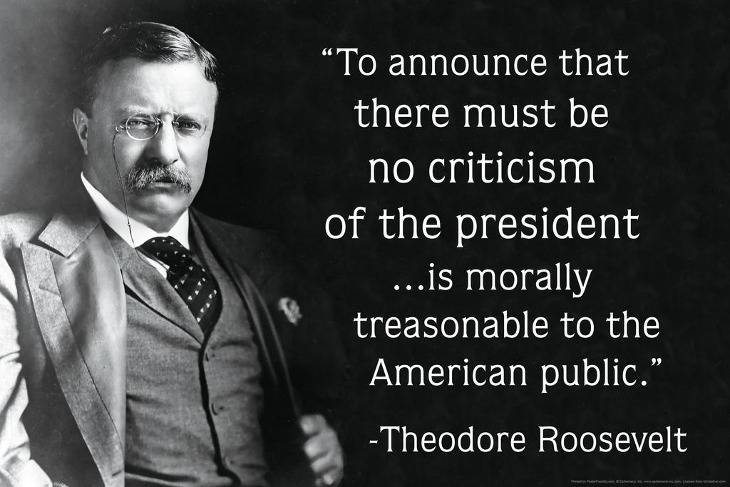 Theodore Roosevelt Criticism of the President Quote Poster 24x36 inch ...