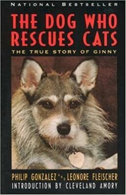 The Dog Who Rescues Cats: The True Story of Ginny by Fleischer, Leonore ...