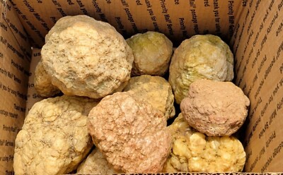 14 LARGE Break / Crack Your Own Indiana Geode Rocks w/ Quartz Inside ...