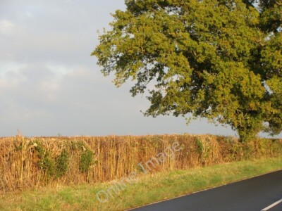 Photo 6x4 Roadside view of the B4235 approaching Chepstow Howick/ST5095 ...