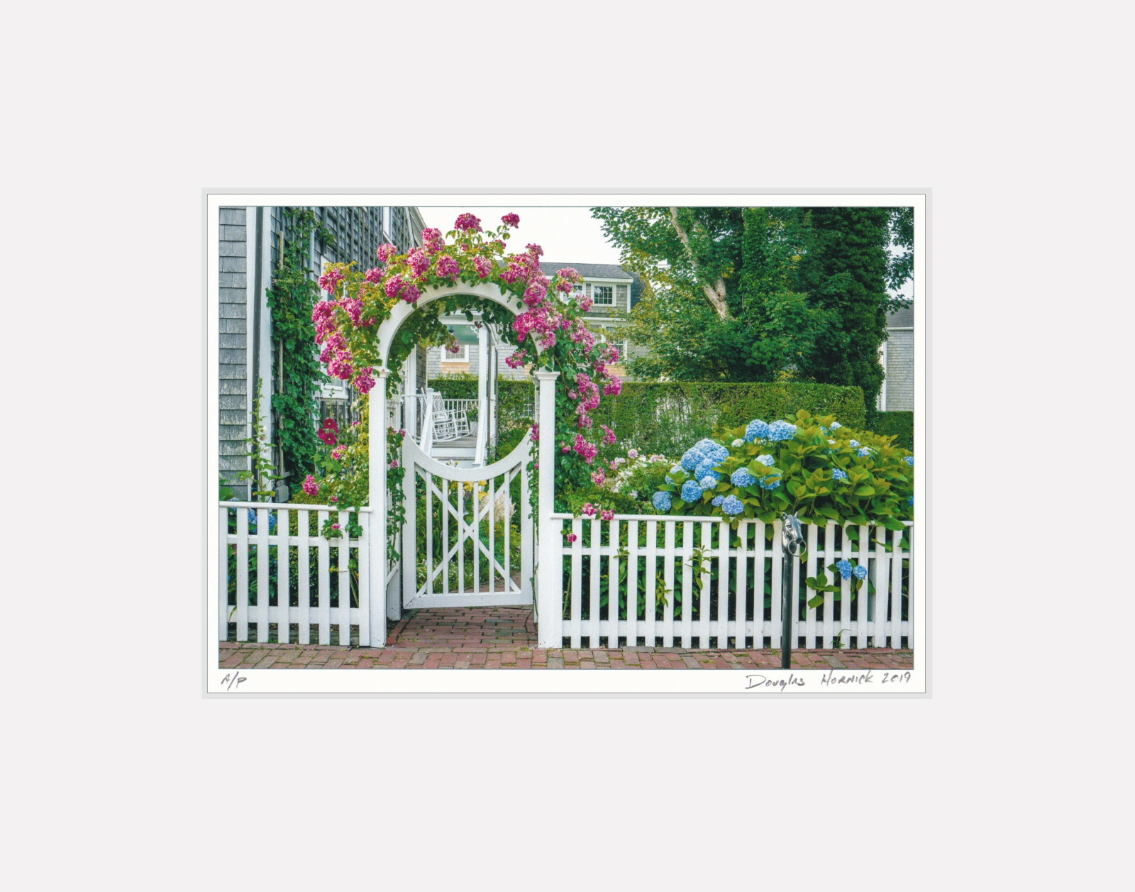 Matted for 11 x 14 Nantucket Island Signed artist proof - Archway Roses ...