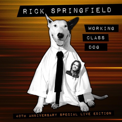 Springfield Rick Working Class Dog 40th Anniversary Special Live Ed ...