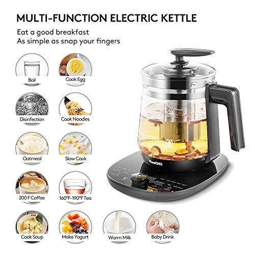 ICOOKPOT Electric Kettle Temperature Control Glass Tea Kettle ...