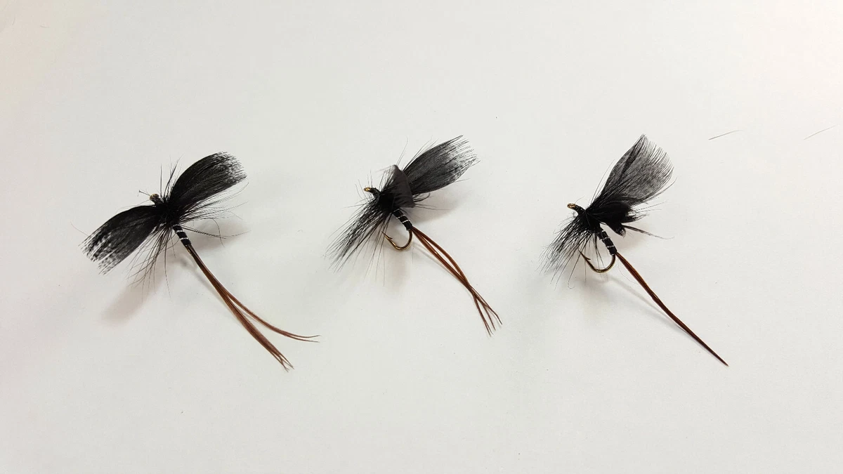 Black Drake Fly