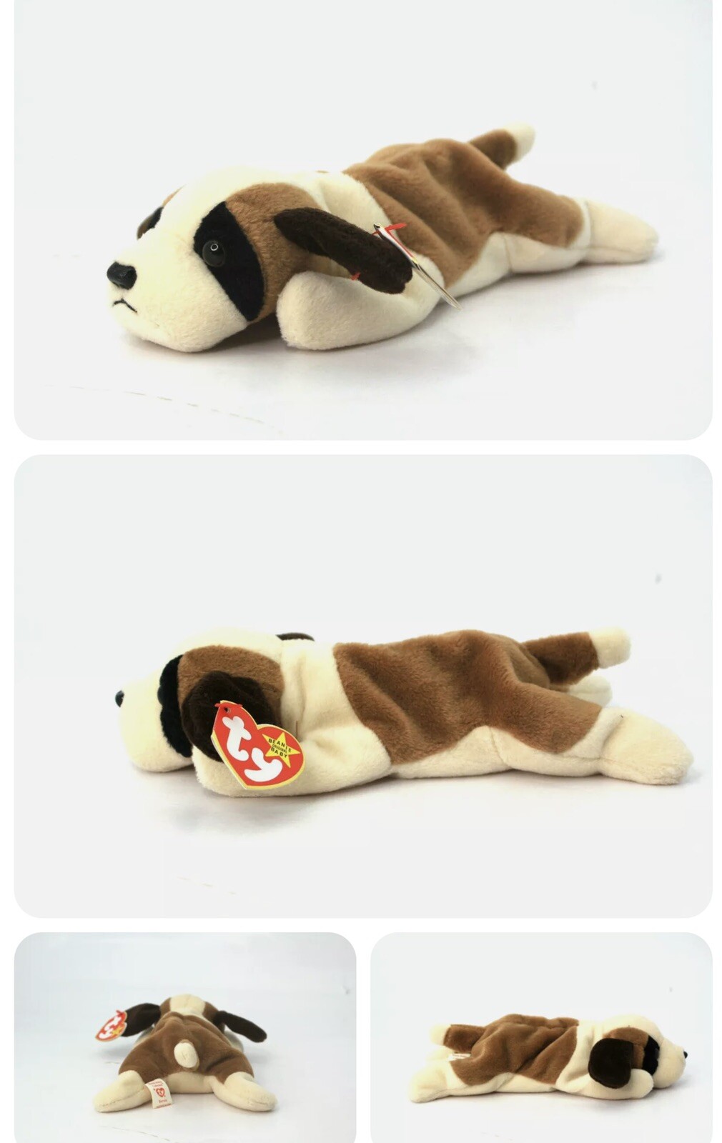Ty Beanie Baby - Bernie the St. Bernard Dog 10/03/1996 Rare Collection ...