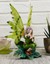Mythical Goddess Green Earth Pixie Dust Fairy Blowing Crystal Bubble ...