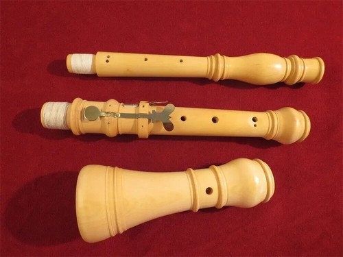 Professional German Baroque style Oboe A-415HZ, Hard Boxwood oboe | eBay