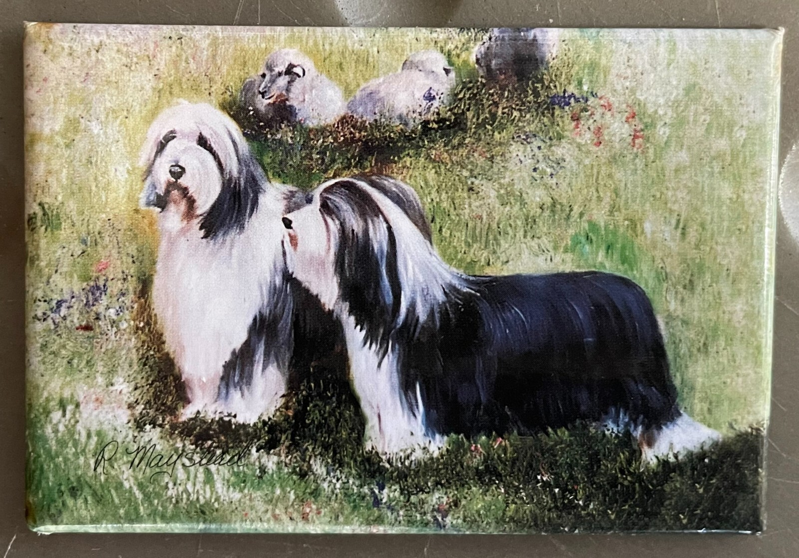 Ruth Maystead Best Friends Color Fridge Magnet Bearded Collie Dog Nice ...