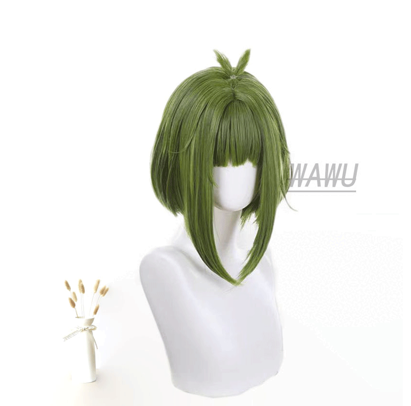Bashame Meme Cartoon Cosplay Short Wig Heat Resistant Synthesis Wigs | eBay