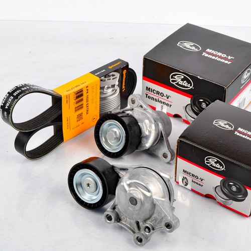 CONTI 6PK1020 Keilrippenriemen + GATES Rollen Set für CITROEN PEUGEOT ...