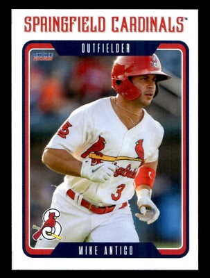 2023 Choice, Springfield Cardinals Mike Antico RC Rookie Card AA | eBay