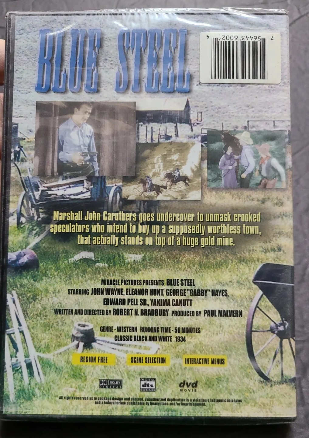 Blue Steel (DVD, 2004) for sale online | eBay