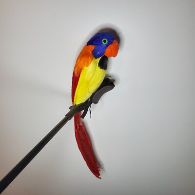 Pirate Parrot Costume Accessory Prop Halloween Play or just for Fun | eBay