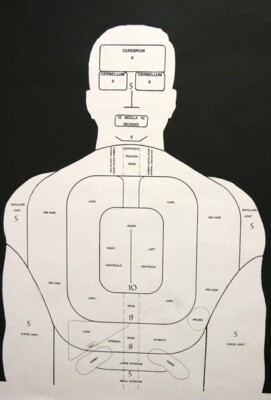 (50) Range Targets - Vital Organs Silhouette, 20" x 30" | eBay
