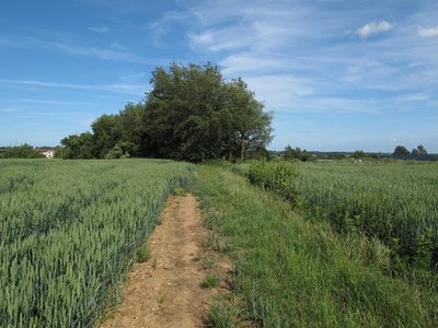 Photo A1 Footpath near Robjohns Farm, Finchingfield Bridge End/TL6731 P ...