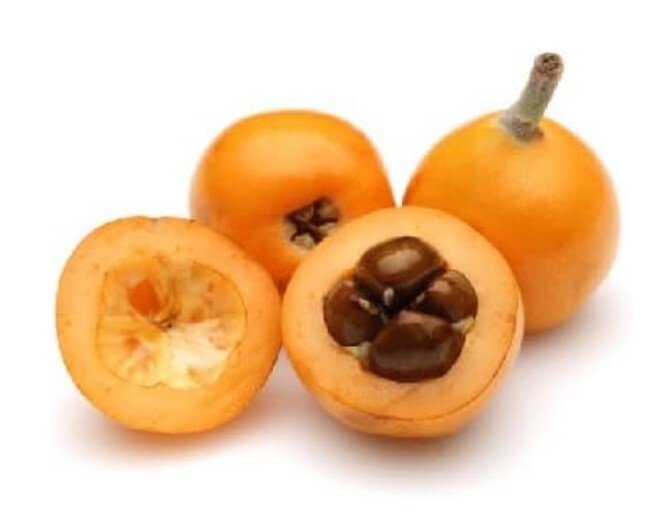 Loquat Seeds Japanese Chinese Plum Eriobotrya Japonica Organic Fresh ...