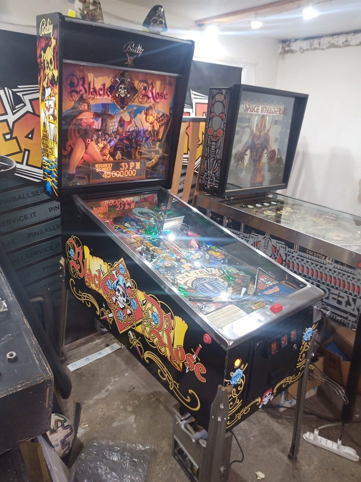 Flipper Pinball machine Bally Black rose | eBay