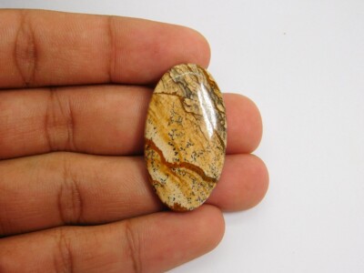 Amazing Natural African Picture Jasper Cabochon Loose Gemstone 38 Cts ...