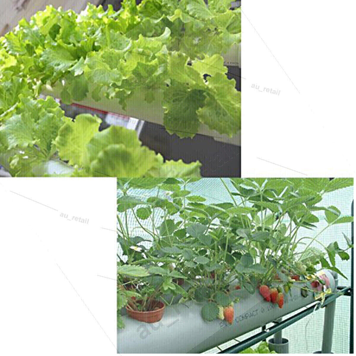 36 Sites Hydroponic Grow Tool Kits Vegetable Garden System Home Water ...