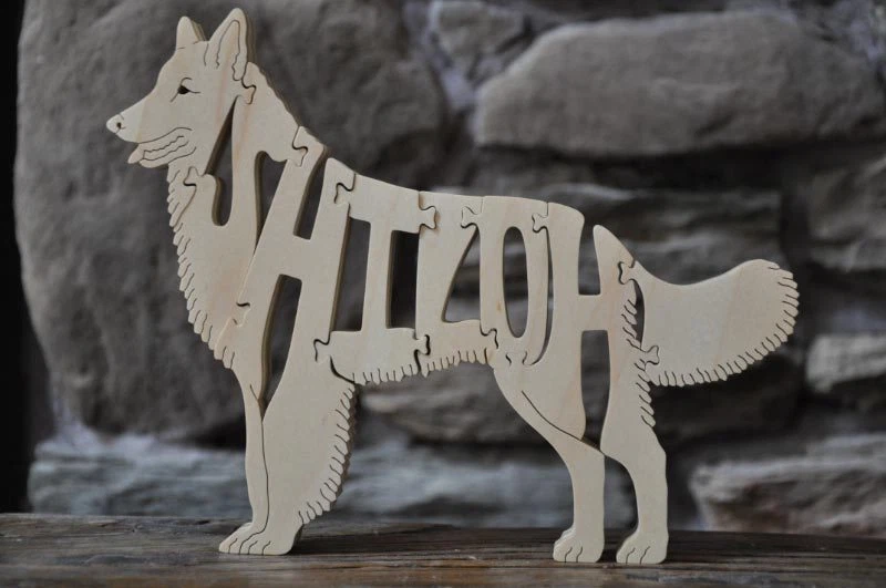 Grey Shiloh Shepherd Puppies