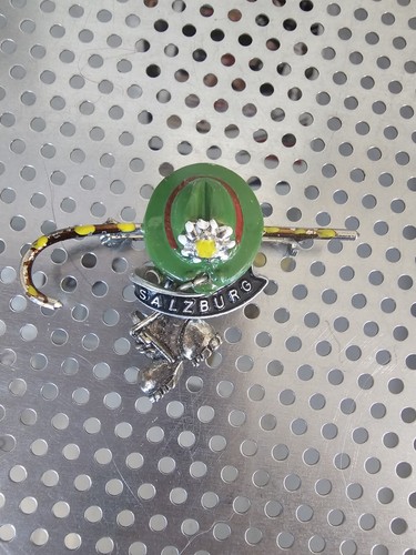 vintage salzburg Austria Hiking climbing pin badge | eBay