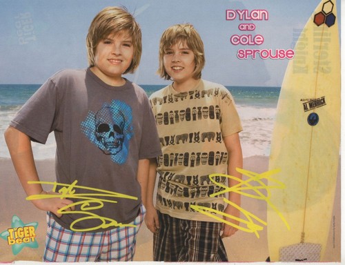 Sprouse Brothers Cole Dylan ocean beach pinup Sterling Knight guitar ...