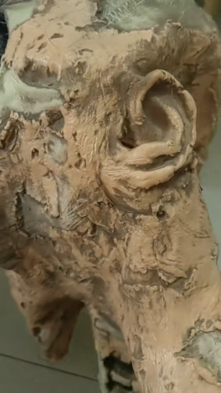 Scary Halloween Walking Dead Mask Decaying Zombie Skeleton Skull Latex ...