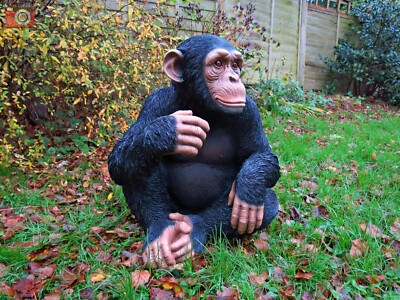 LARGE SITTING CHIMP. Vivid Arts Real Life. Stunning Home & Garden ...