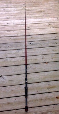 Spinning - Quantum Rods