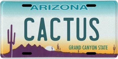 Cactus Arizona Aluminum AZ License Plate | eBay