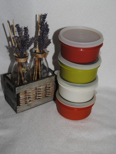 TUPPERWARE 🌟Boite Ramequin Bol Frigo Raviers + Couvercle Vintage TTBE ...