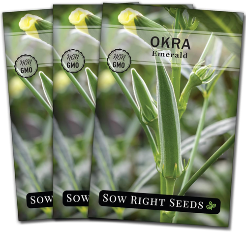 - Emerald Okra Seeds for Planting - Non-Gmo Heirloom Packet with ...