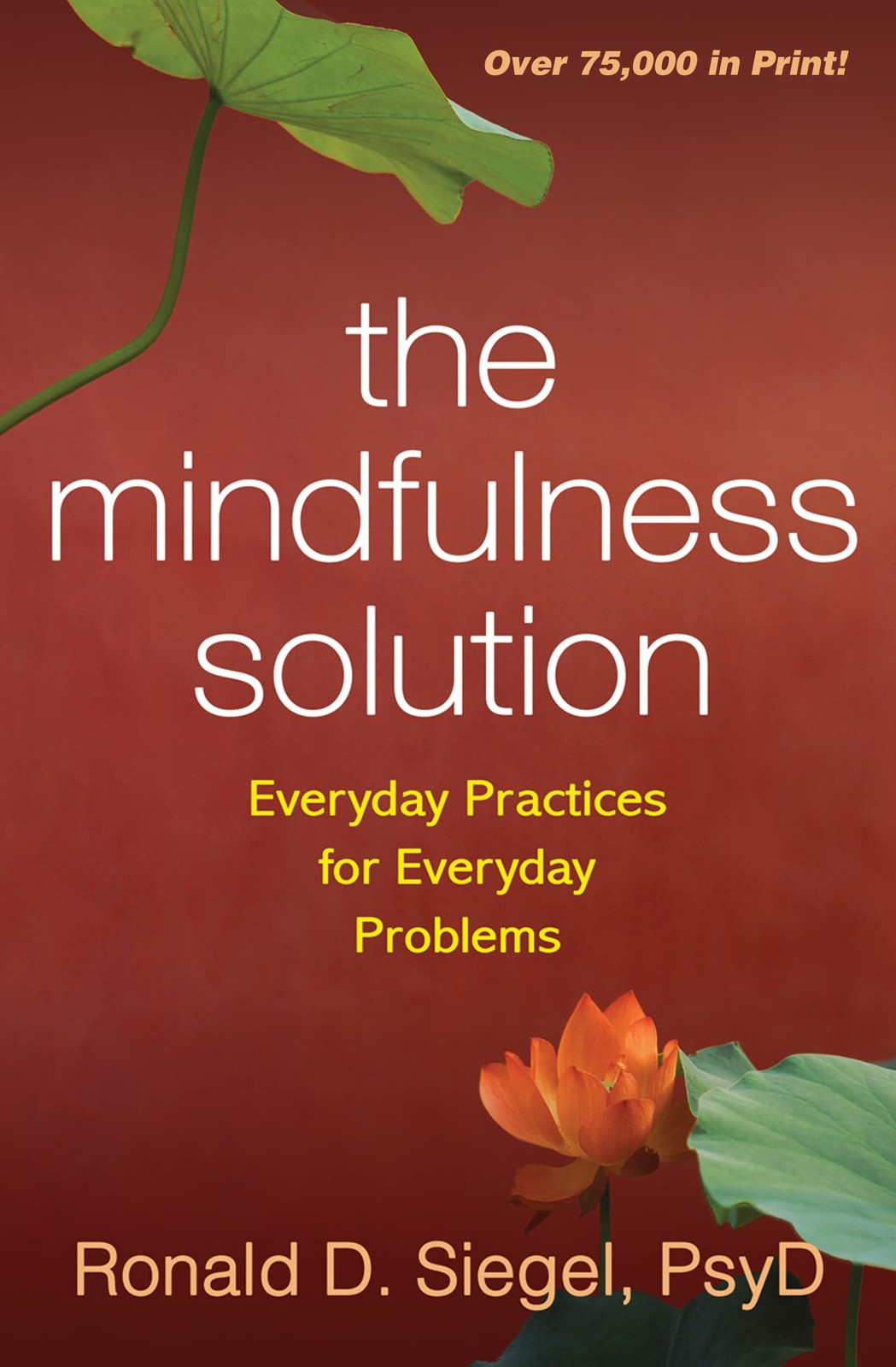 The Mindfulness Solution: Everyday Practices for Everyday Problems ...