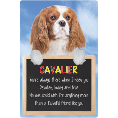 Blenheim Cavalier King Charles Spaniel sign faithful friend dog quote ...
