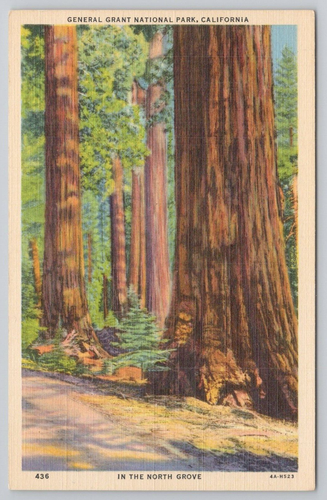 General Grant National Park California North Grove Postcard | eBay