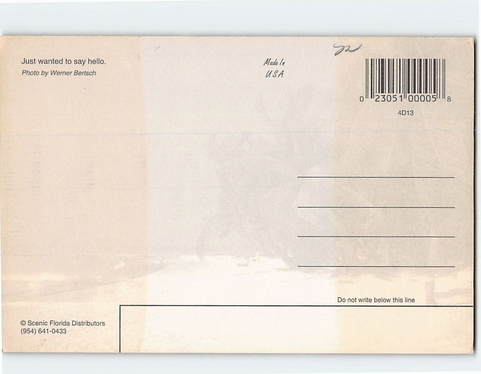 Postcard I'm lonely whuff. . . out you!, Florida Greetings, Florida | eBay