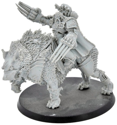 SPACE WOLVES Canis Wolfborn #2 Warhammer 40K | eBay