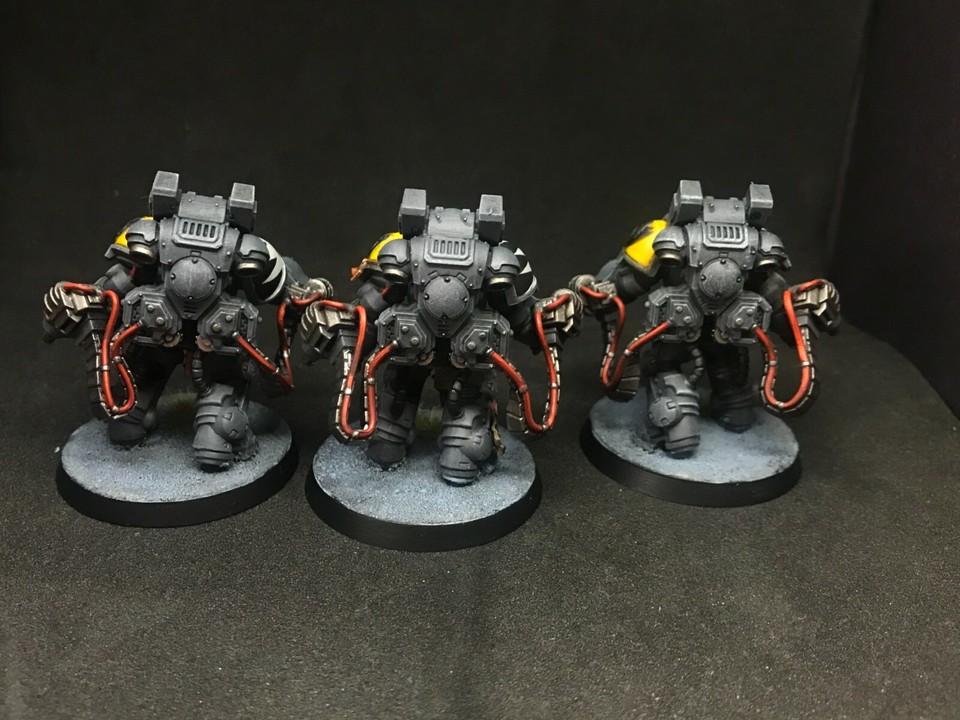 Space Wolves Primaris Aggressors painted Space marines painted ...